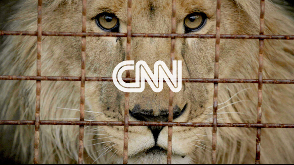 Checkpoint Zoo | A Documentary Feature Film