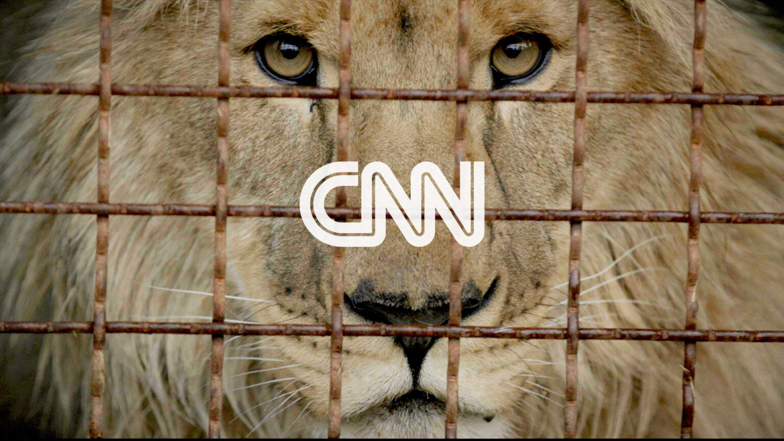 Checkpoint Zoo | A Documentary Feature Film