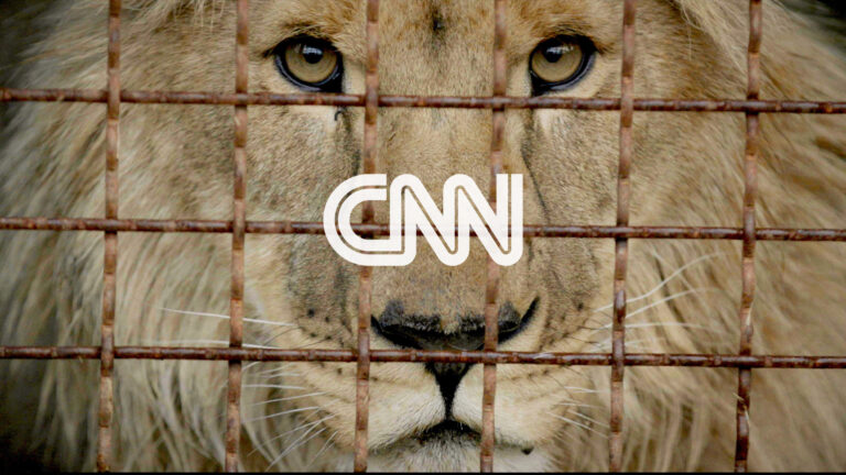 Checkpoint Zoo | A Documentary Feature Film