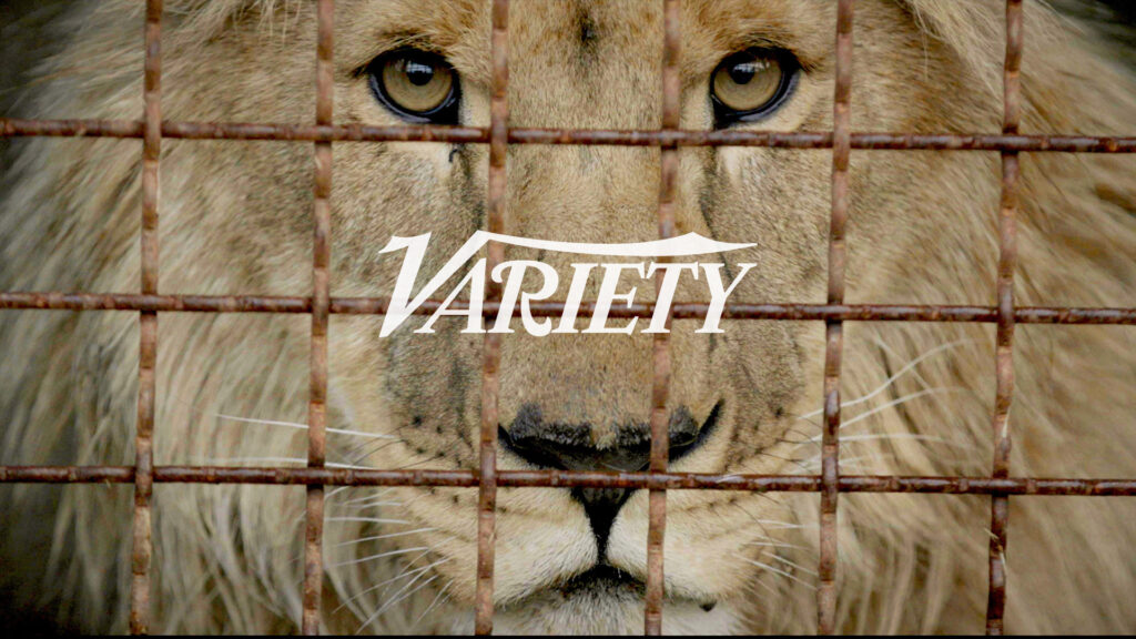 Checkpoint Zoo | A Documentary Feature Film